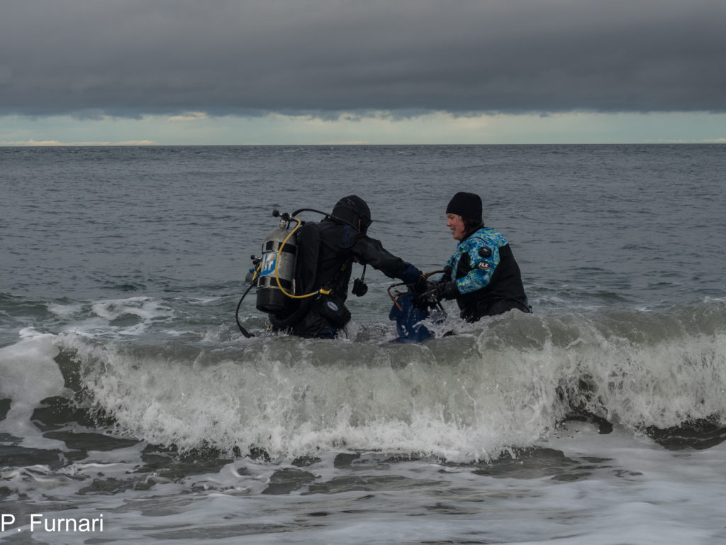 April 2017 Newsletter - Eugene Dive Club
